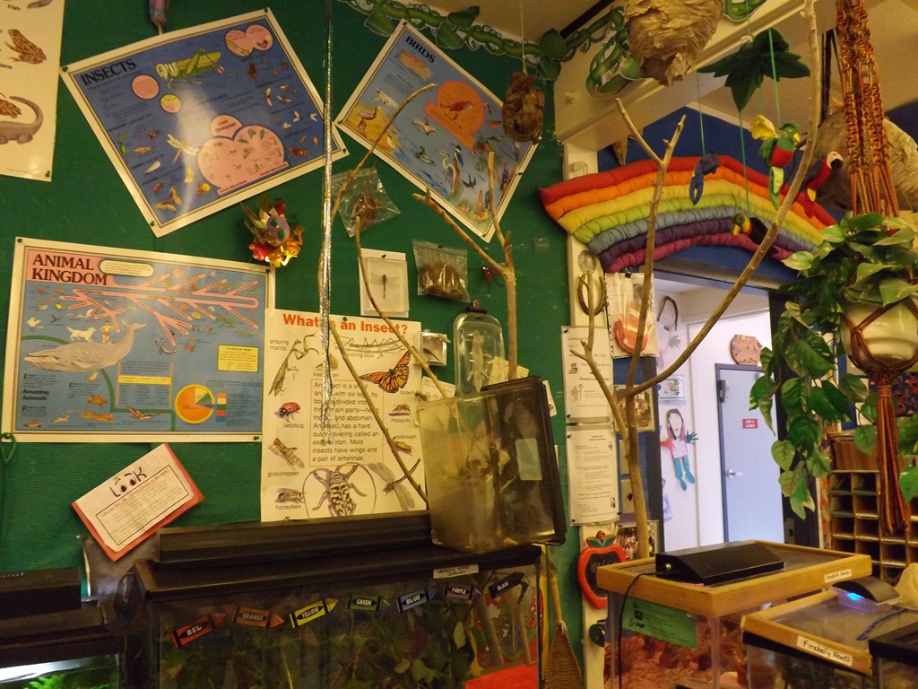 Layers of Learning in the “Living Classroom”–Nora Boekhout - Bright ...
