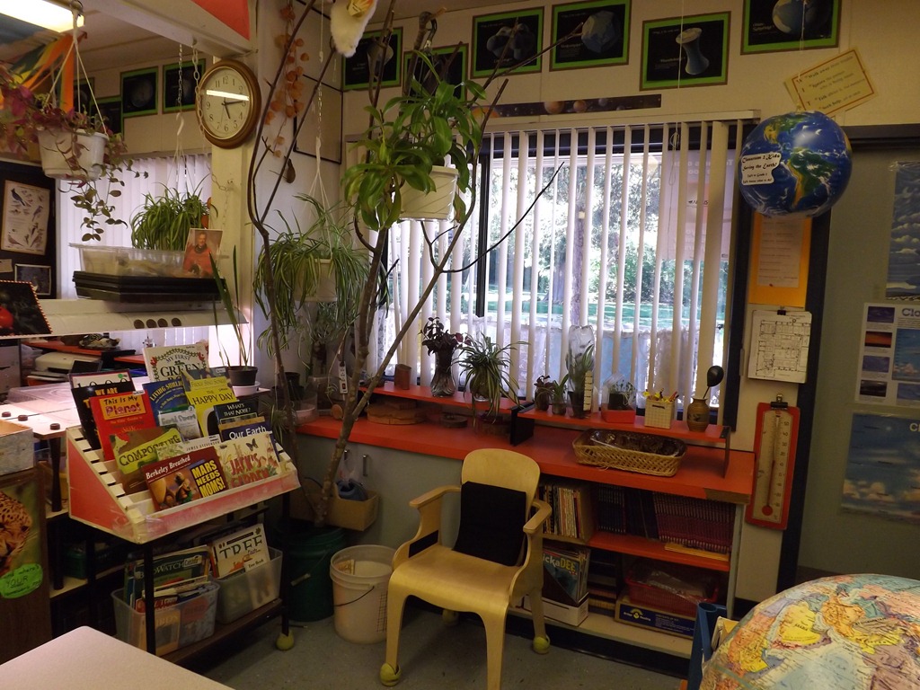 Layers of Learning in the “Living Classroom”–Nora Boekhout - Bright ...