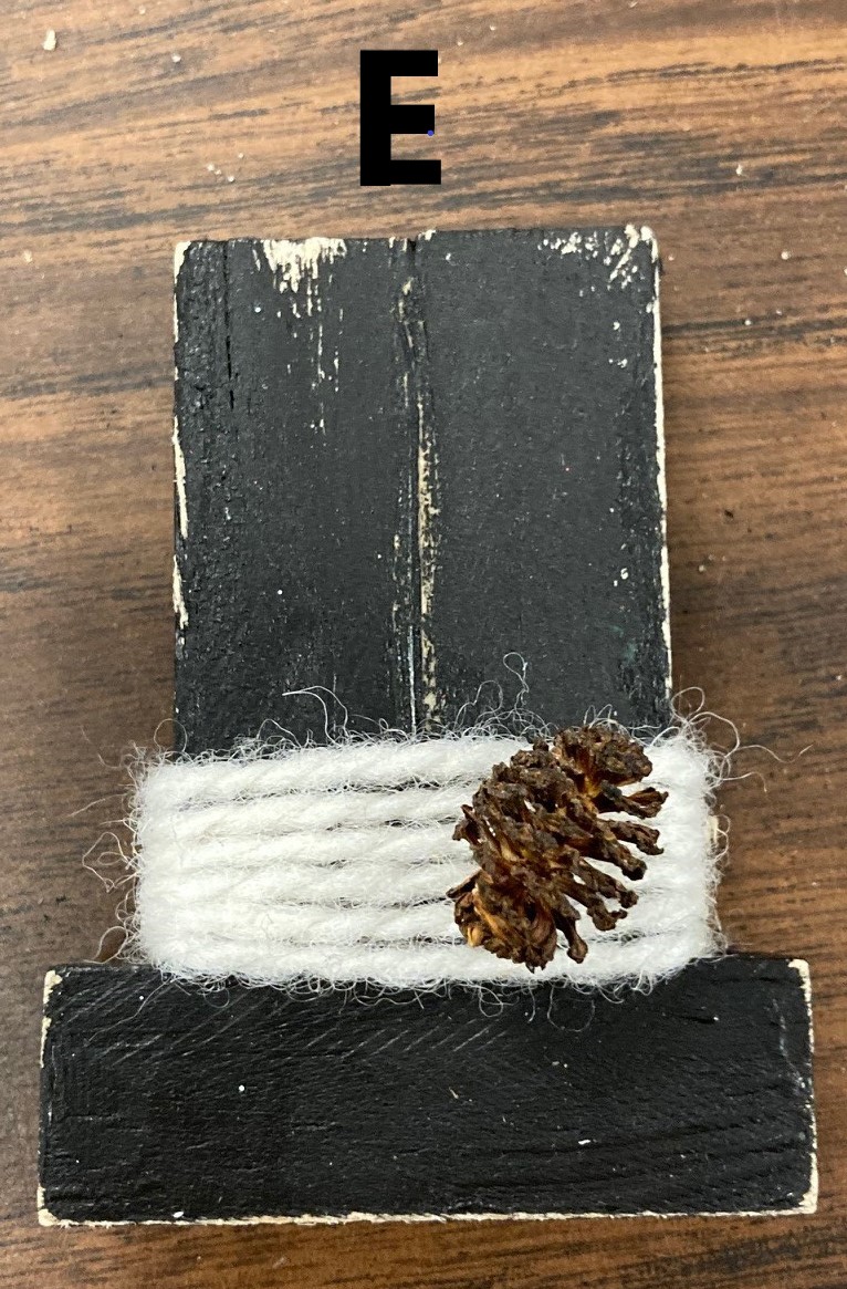 News Item - École Banting Middle School