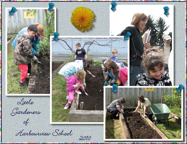 Garden - All Pictures - Harbour View Elementary School