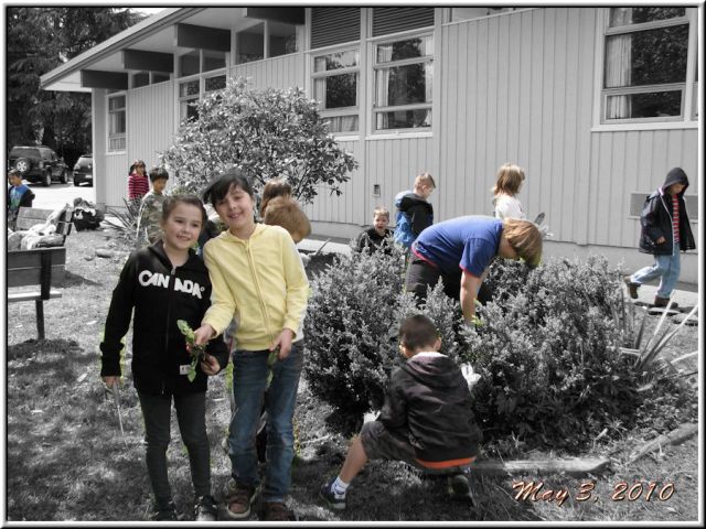 Garden - All Pictures - Harbour View Elementary School