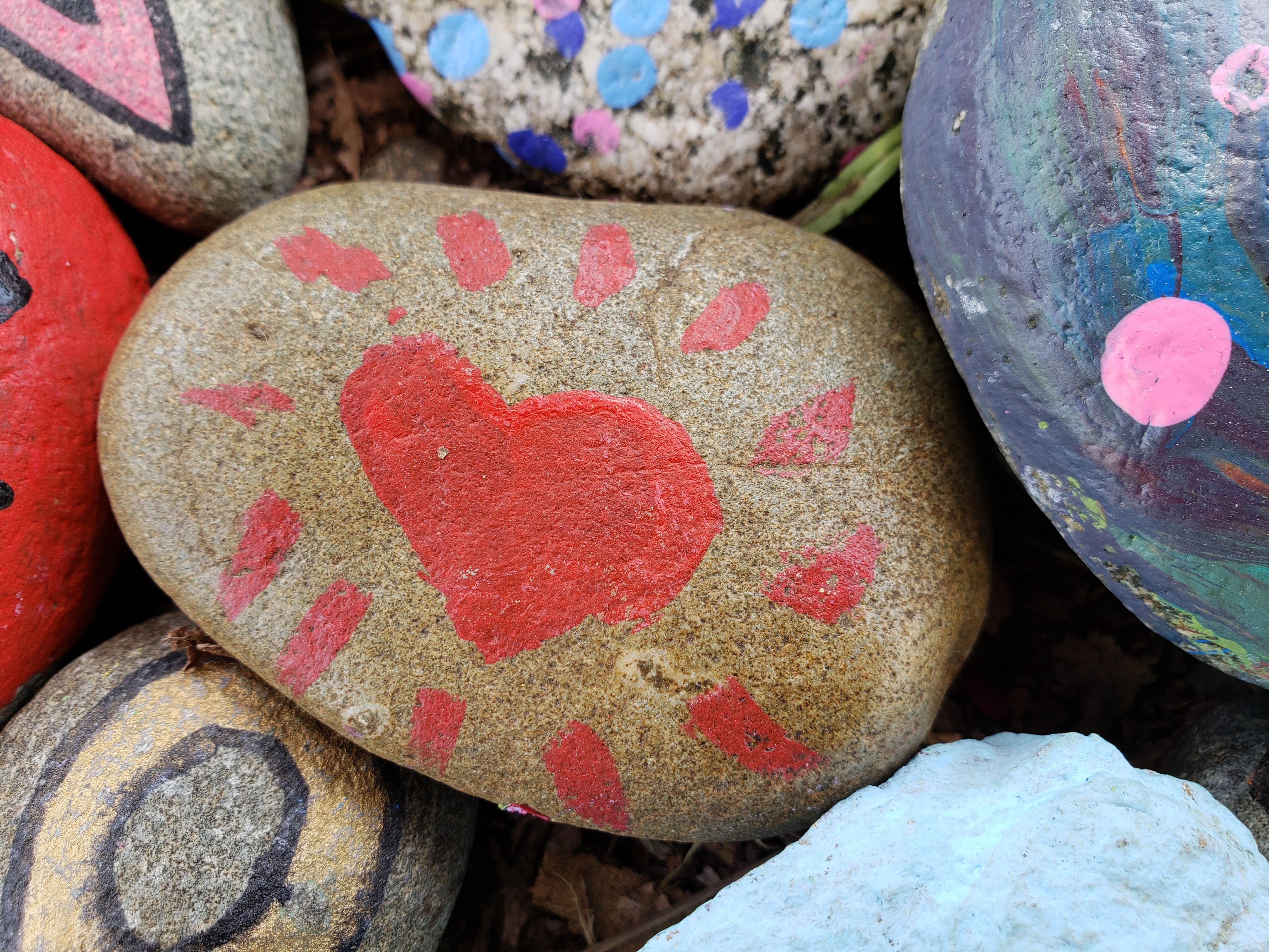 Images - All Documents - École Irvine Elementary School