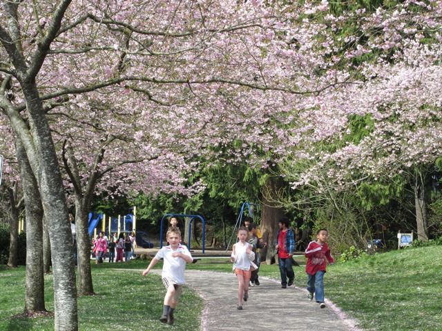 Running Club - Thumbnails - École Nestor Elementary School